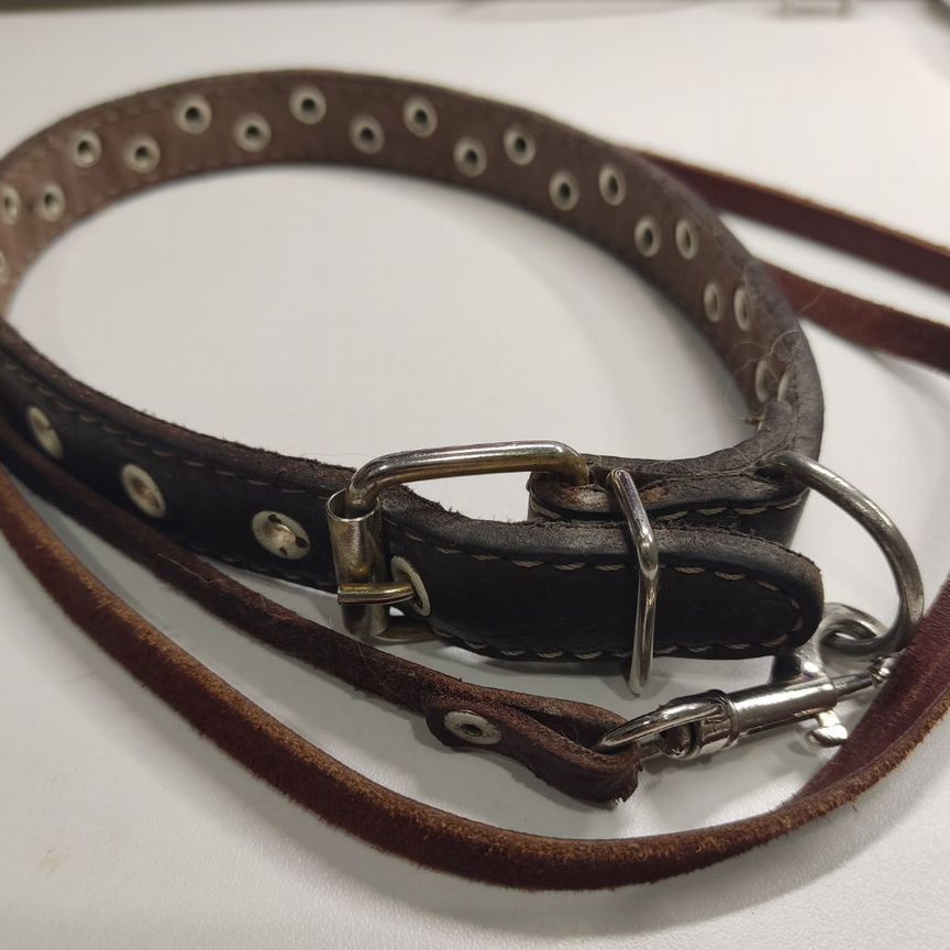 Ошейник и поводок для маленькой собачки