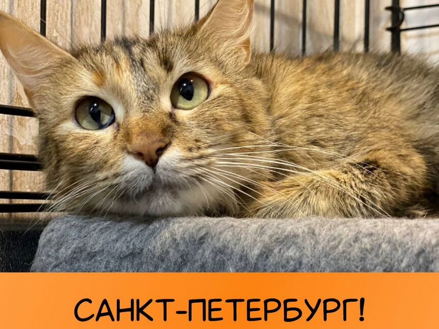 Её единственный шанс 10 июля выпуск на улицу