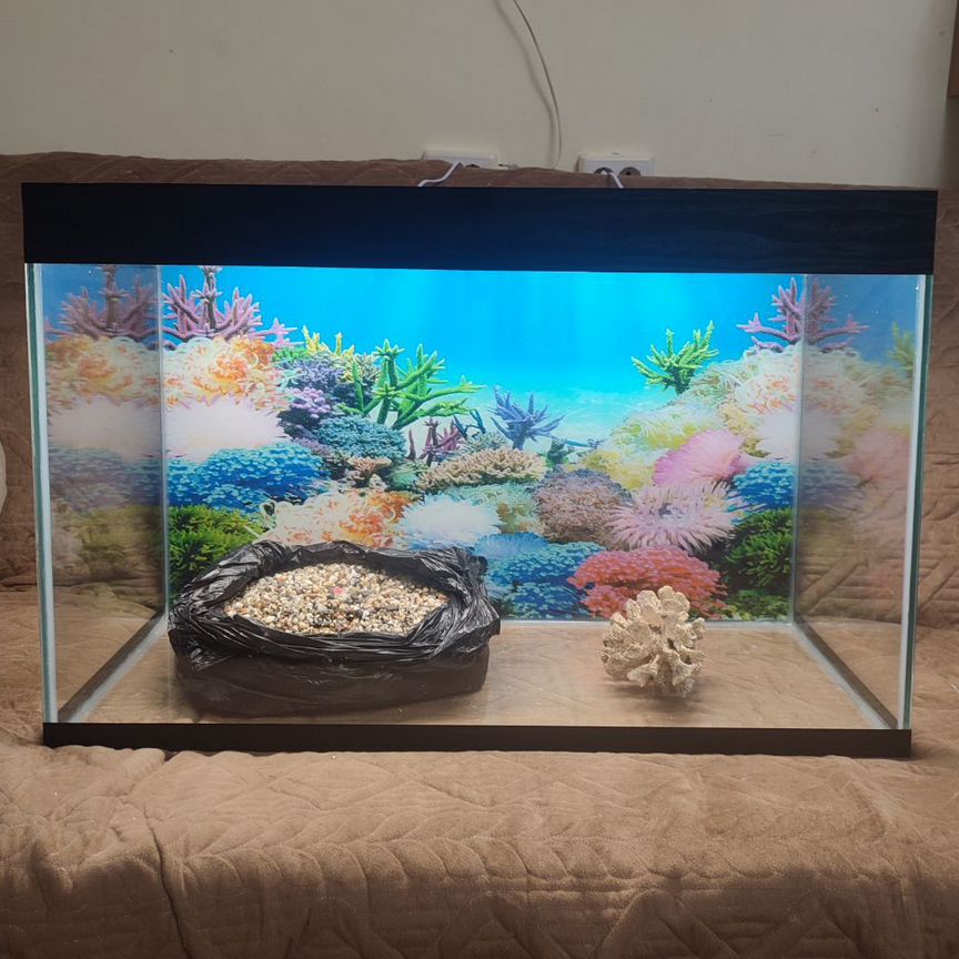 Аквариум большой