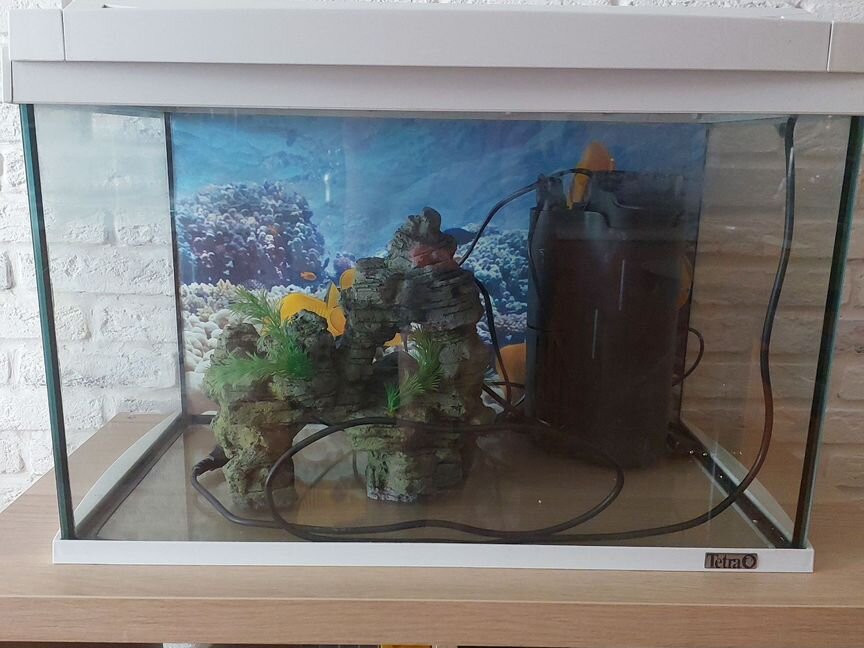 Аквариум Tetra 60