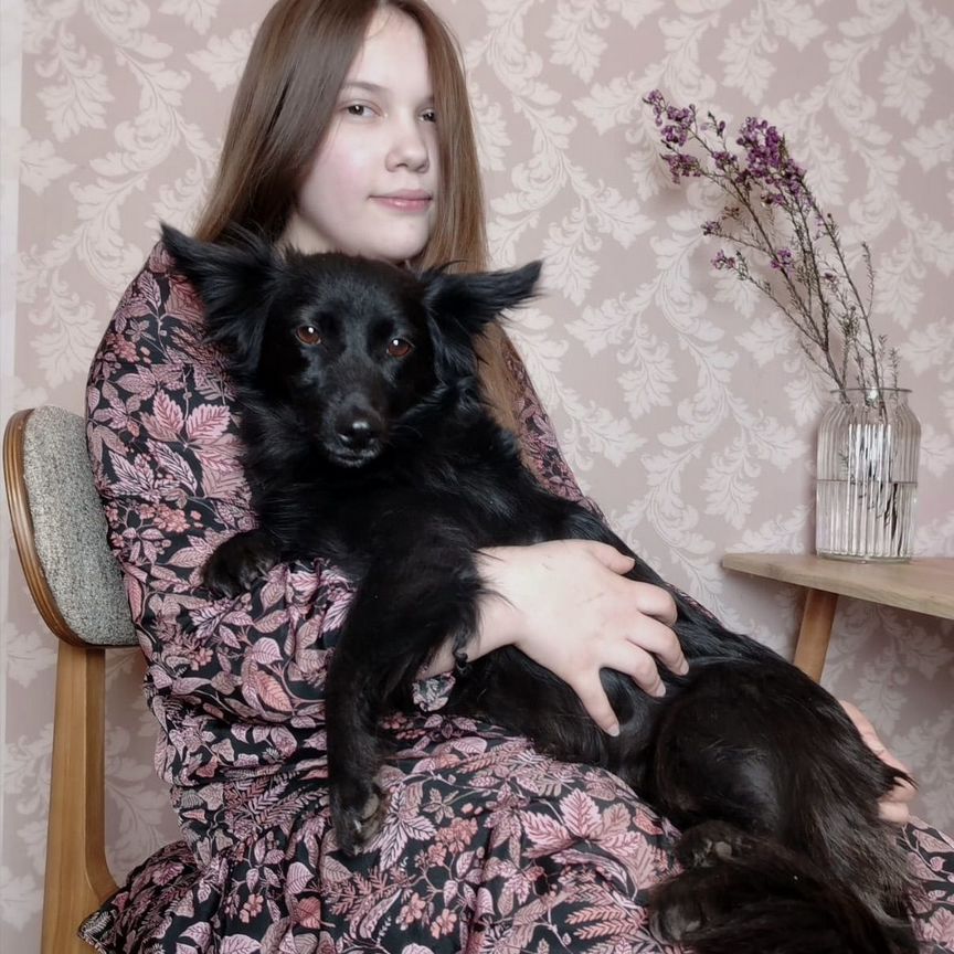 Маленькая собачка Агата