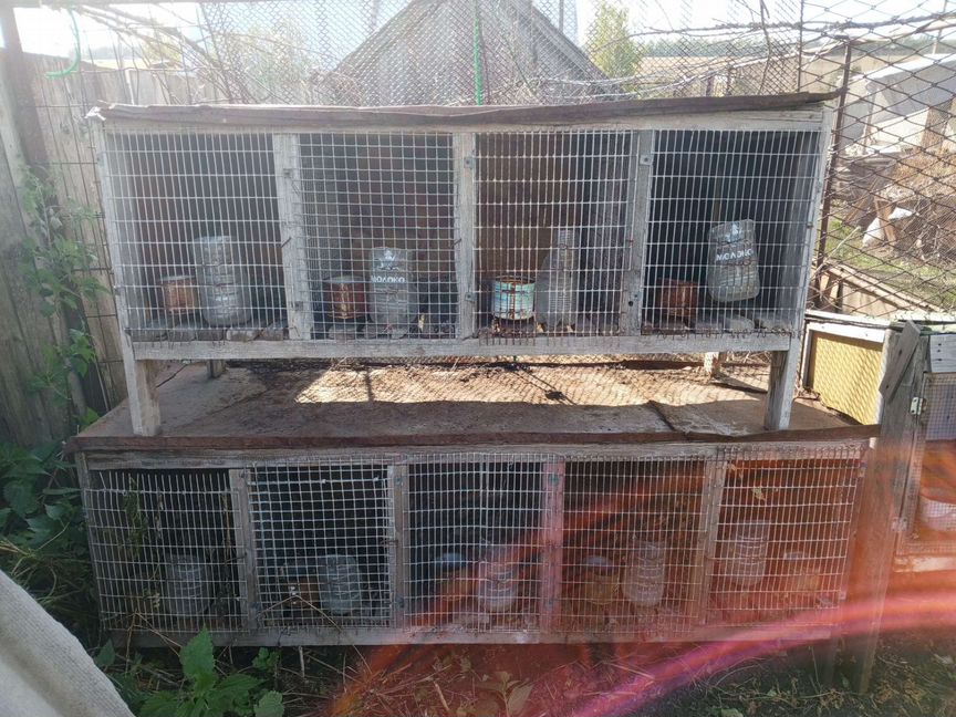 Клетка для кролика