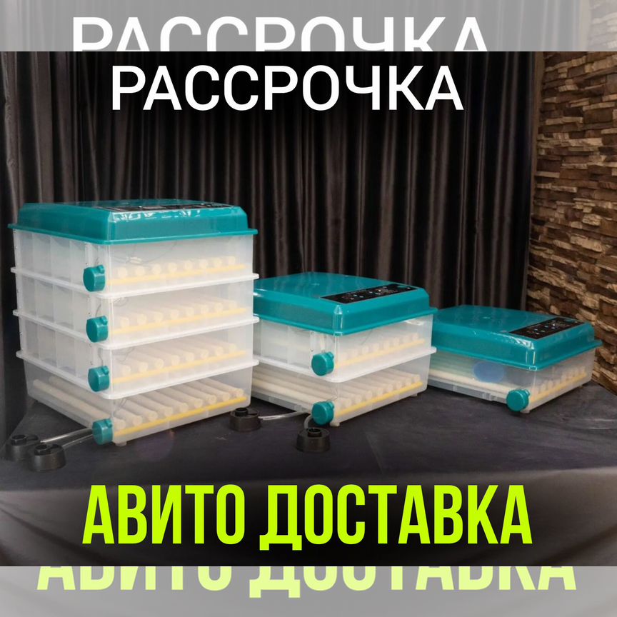 Инкубатор на любой бюджет