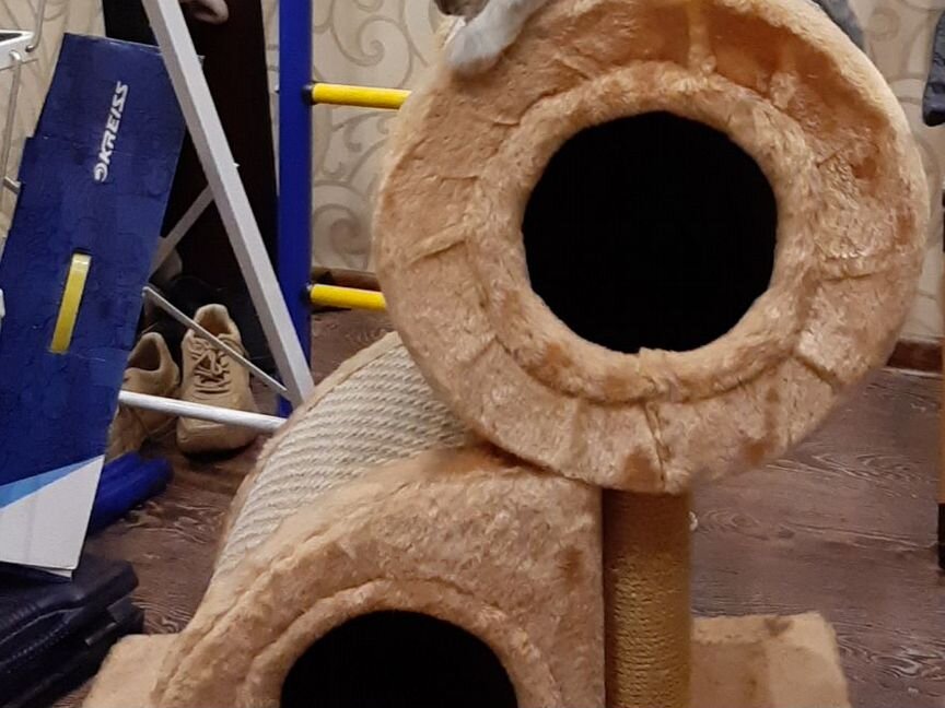 Когтеточка с 2мя домиками для кошек