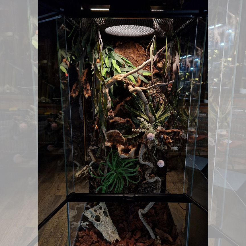 Террариум для хамелеона