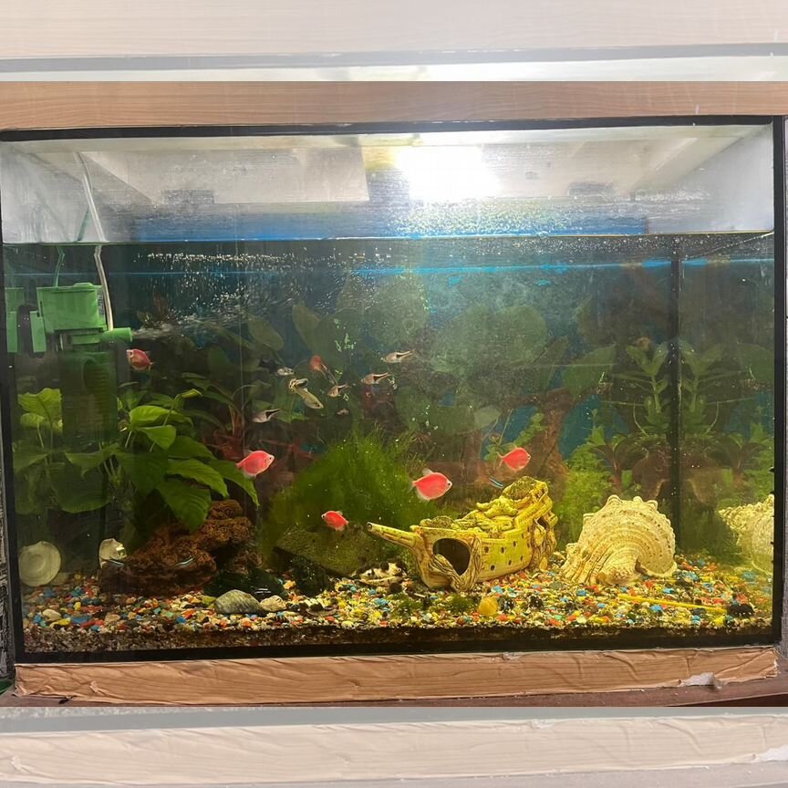 Аквариум