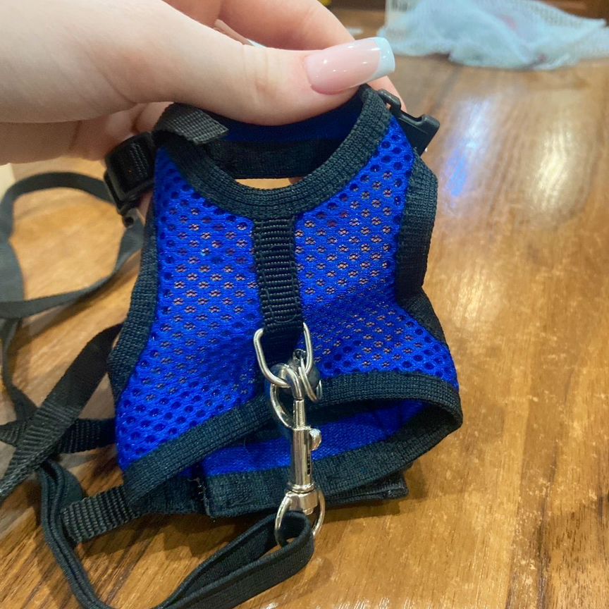 Шлейка для грызунов