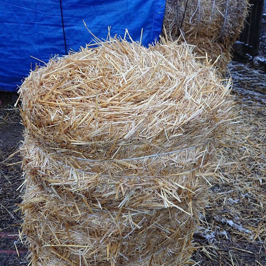 Солома круглые тюки плотно набитые