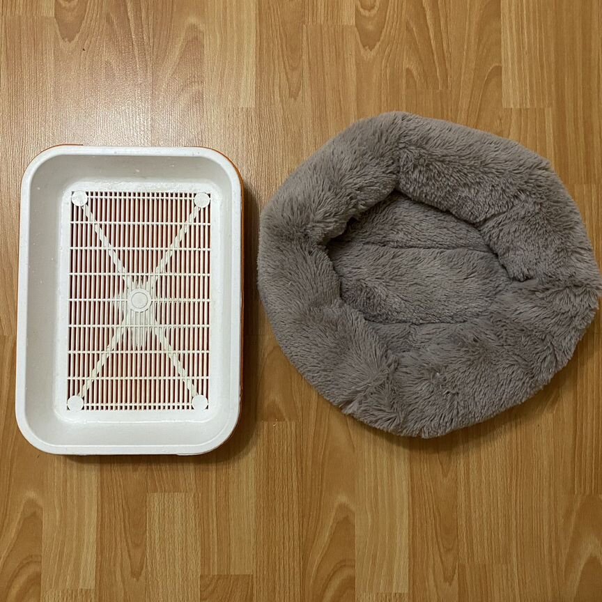 Лоток и новая лежанка для котёнка