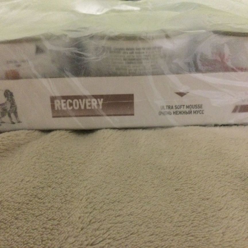 Royal canin recovery