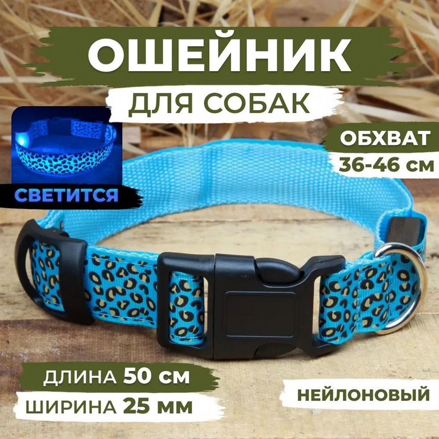 Ошейник светящийся для собак Синий, Обхват 36-46с