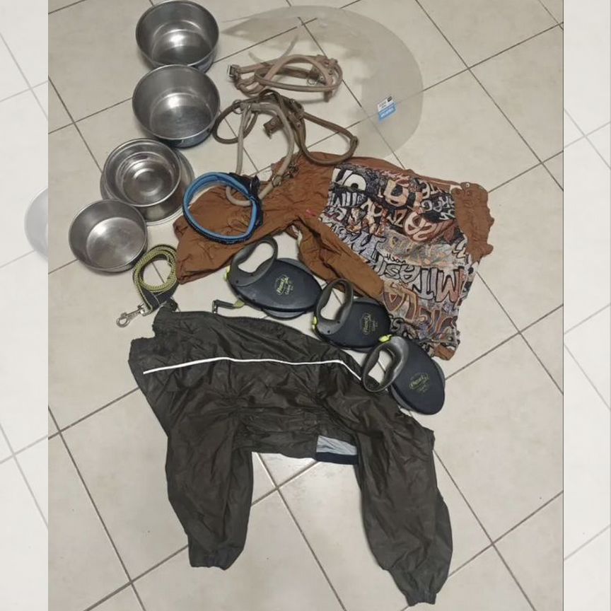 Амуниция для собак