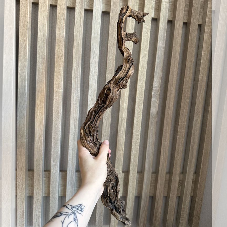 Крымская коряга 55см