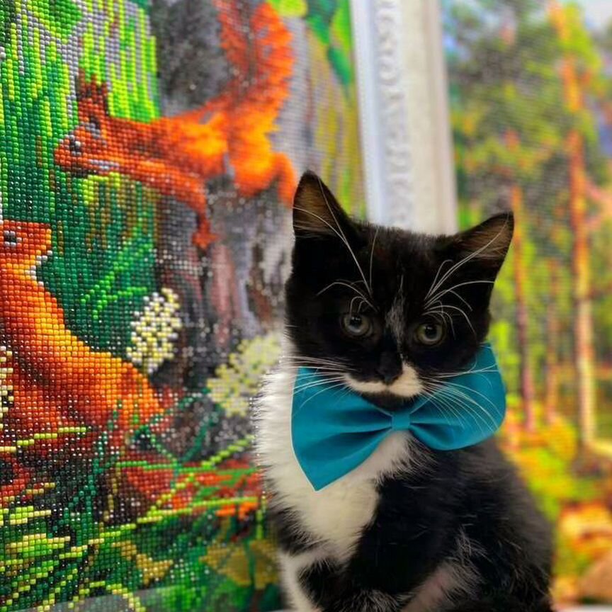 Мишутка в дар