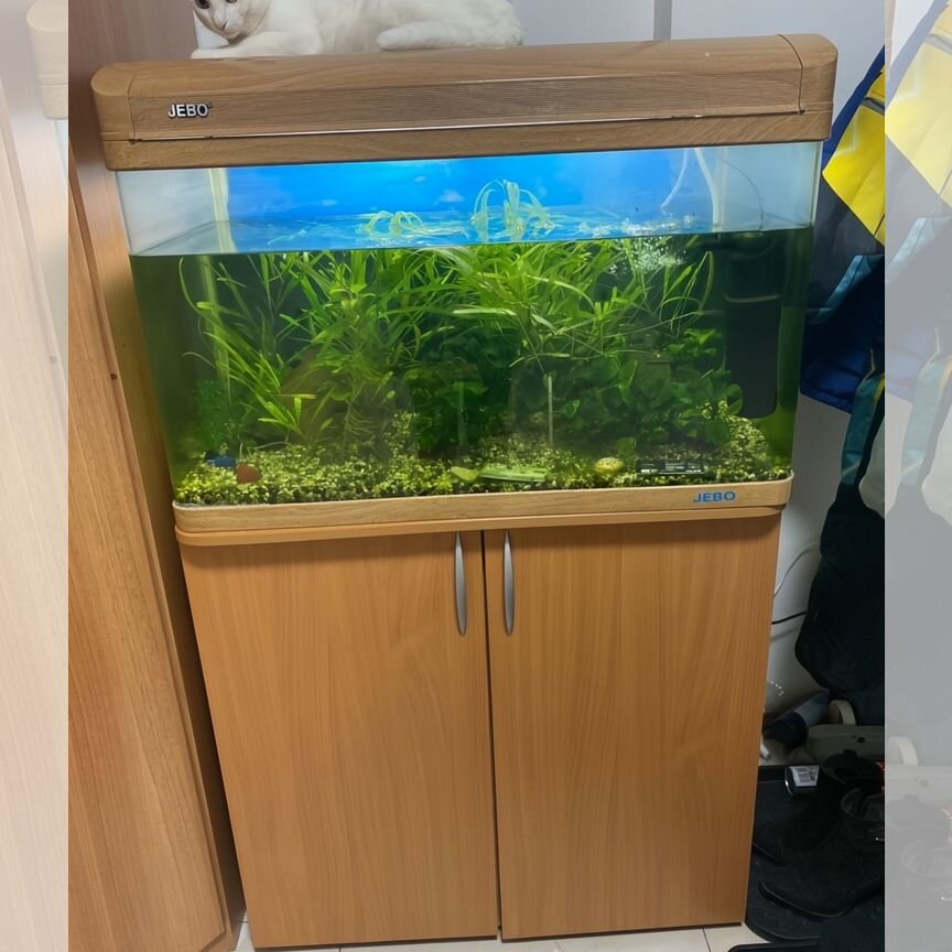 Акваоиум jebo 120 л