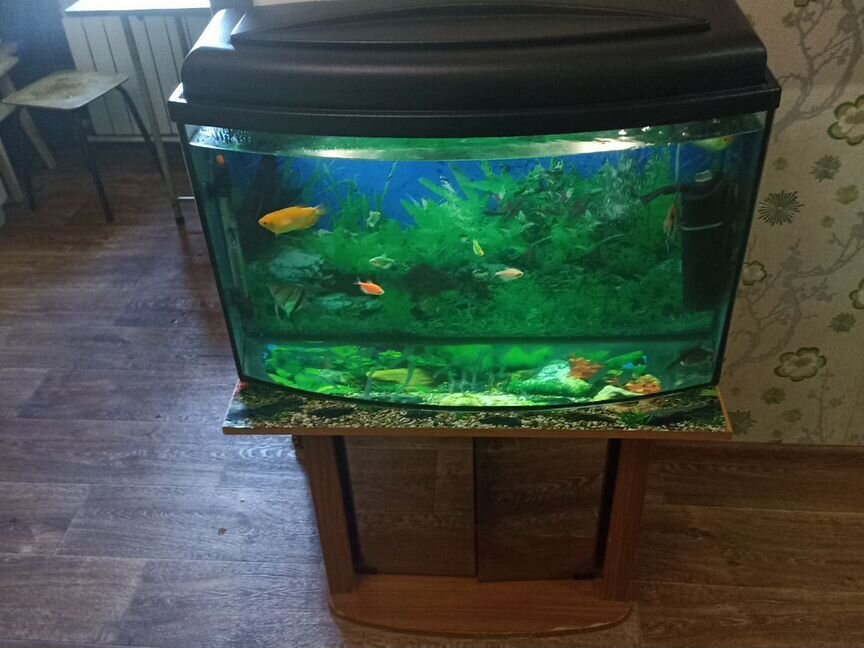 Аквариум с тумбой 100 литров