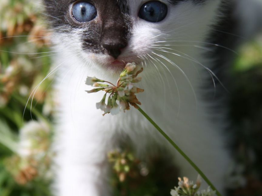 Малышка 1мес