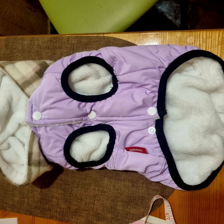 Одежда для маленьких собак