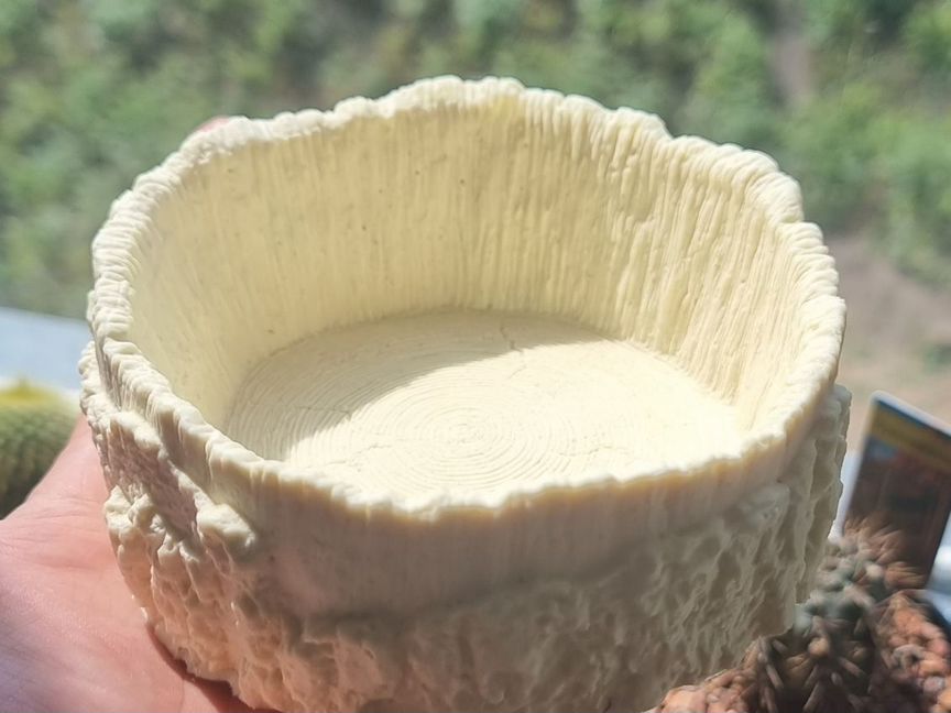 Миска для рептилий