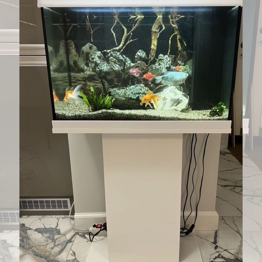 Аквариум juwel primo 70 литров с тумбой