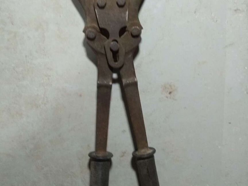 Клещи копытные