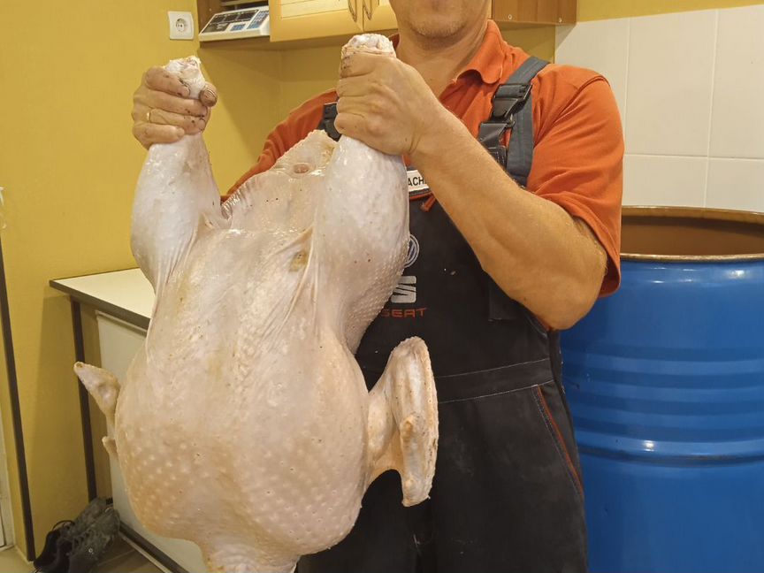 Индюшата хайбрид конвертер