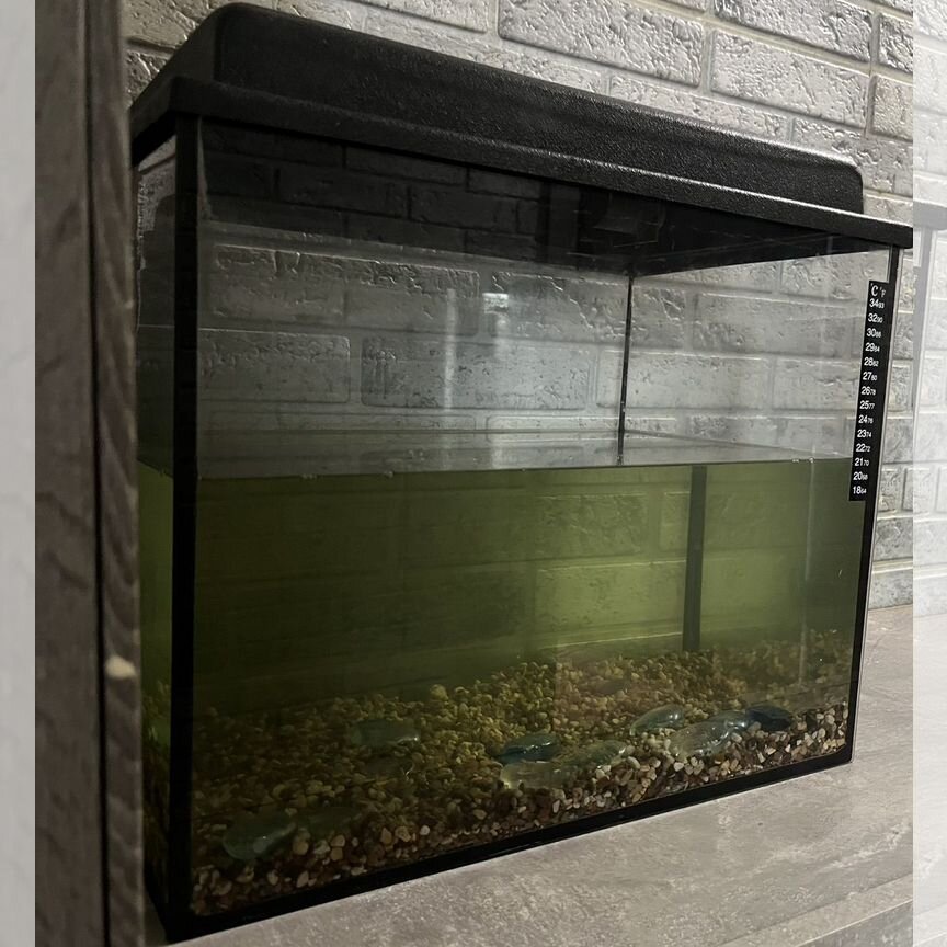 Аквариум 35 литров