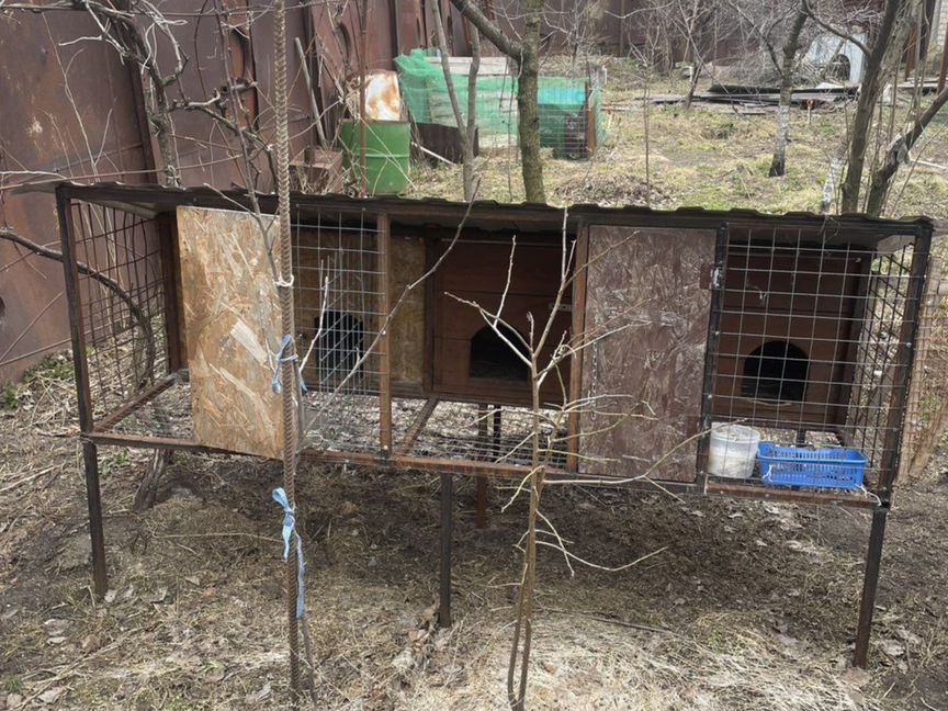 Крольчатник