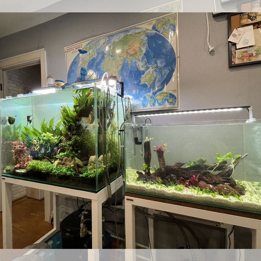 Аквариум с тумбой 250 литров