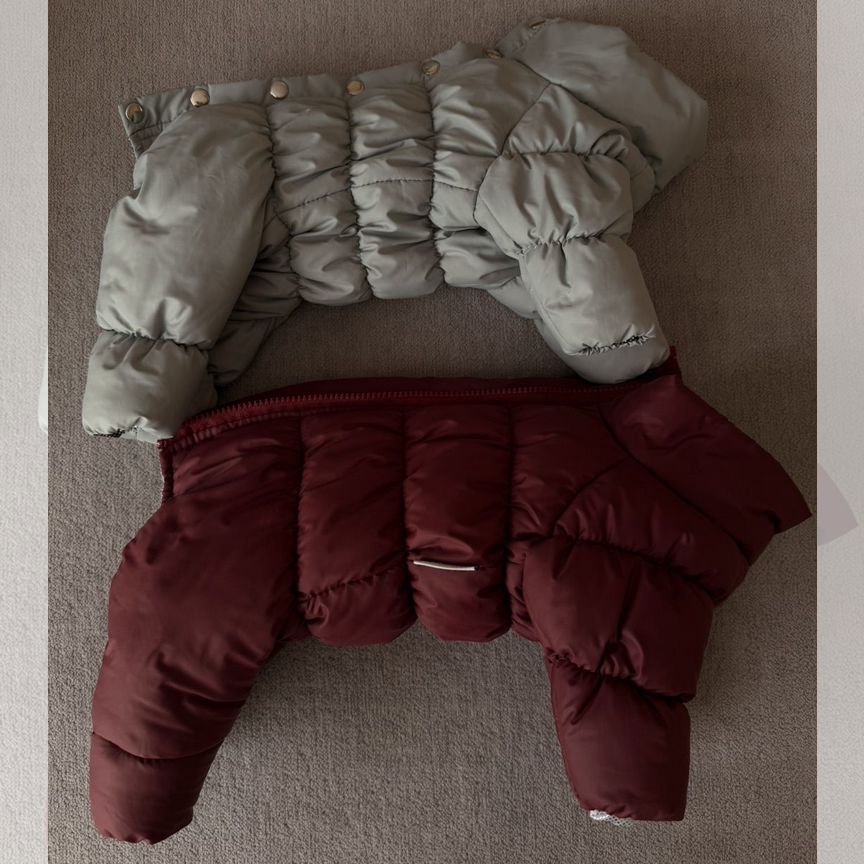 Зимний комбинезон для маленькой собаки lunaluma