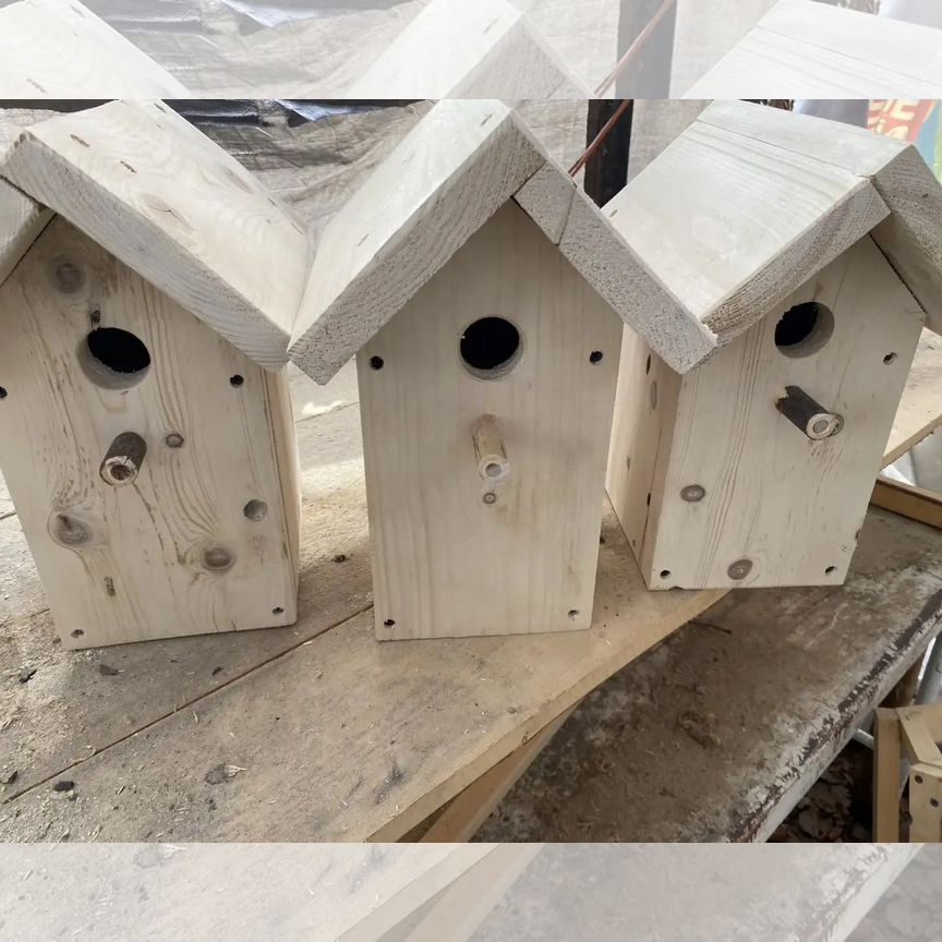 Скворечники для птиц