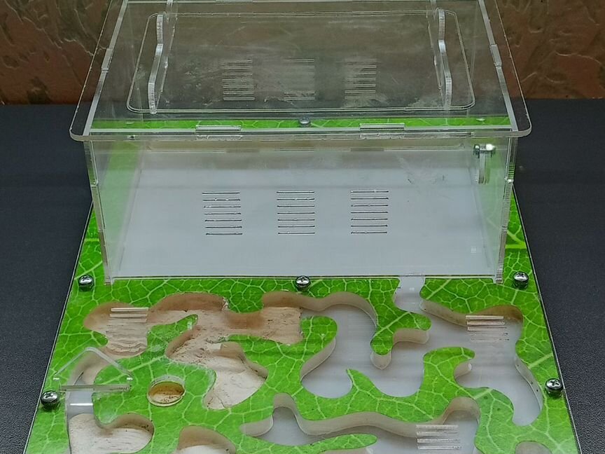 Муравьиная ферма