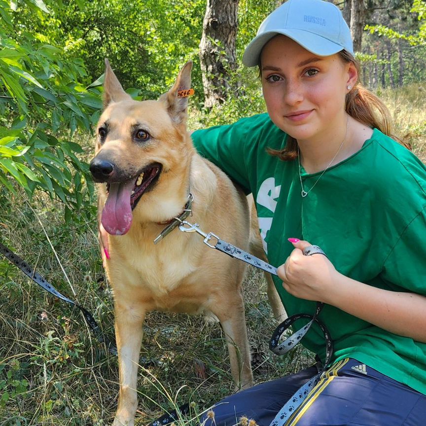 Лучшая в мире охрана Воля в поисках дома