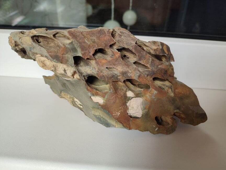 Камень в аквариум или террариум, флорариум