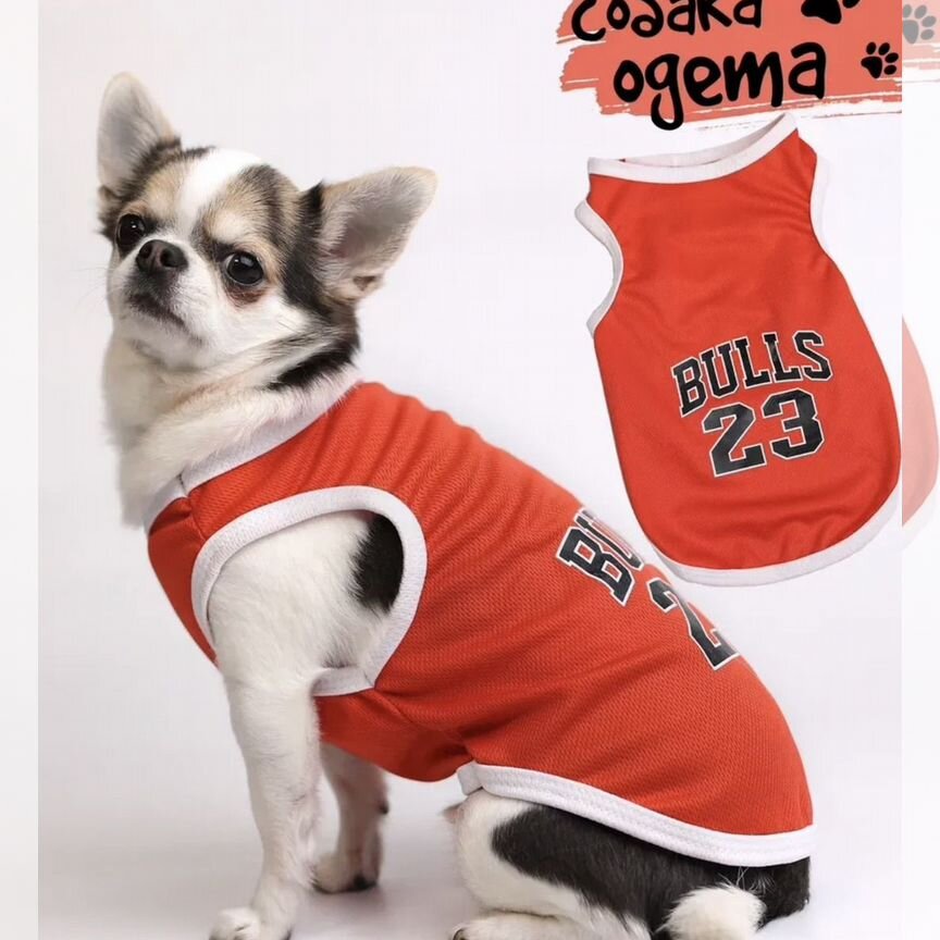 Майка для собак