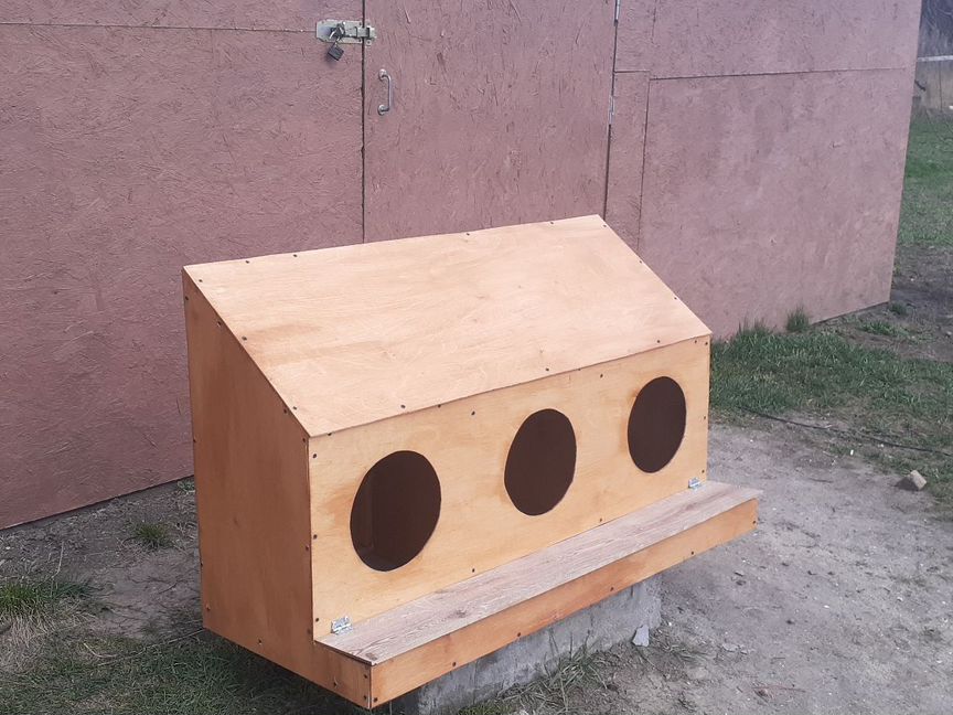 Гнезда для кур