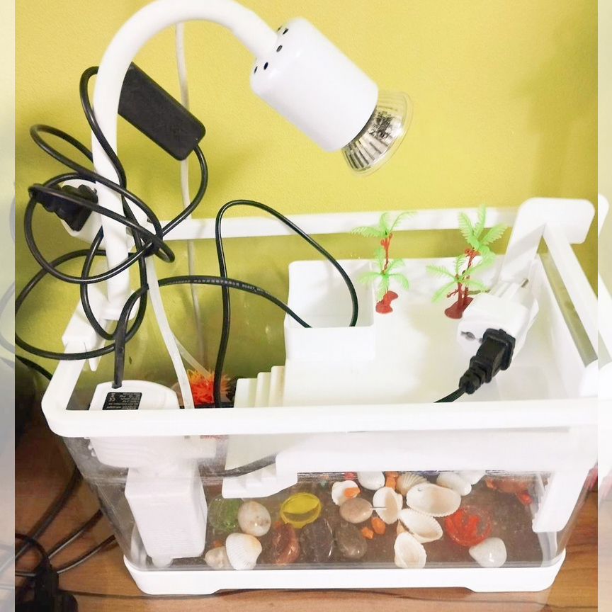 Аквариум для красноухой черепахи бу