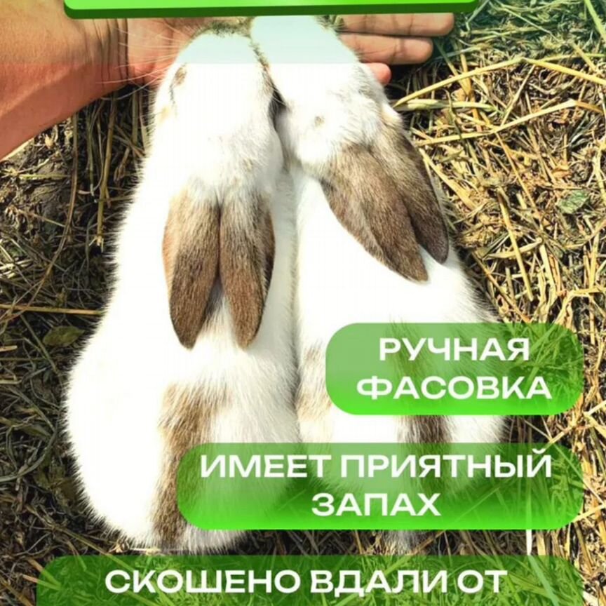 Сено в коробках