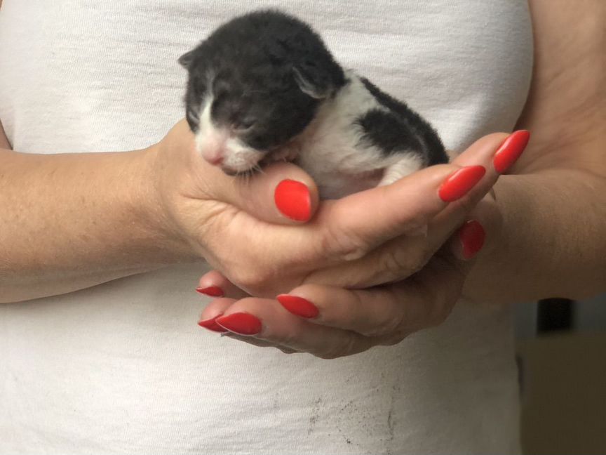 Горошки на ладошке