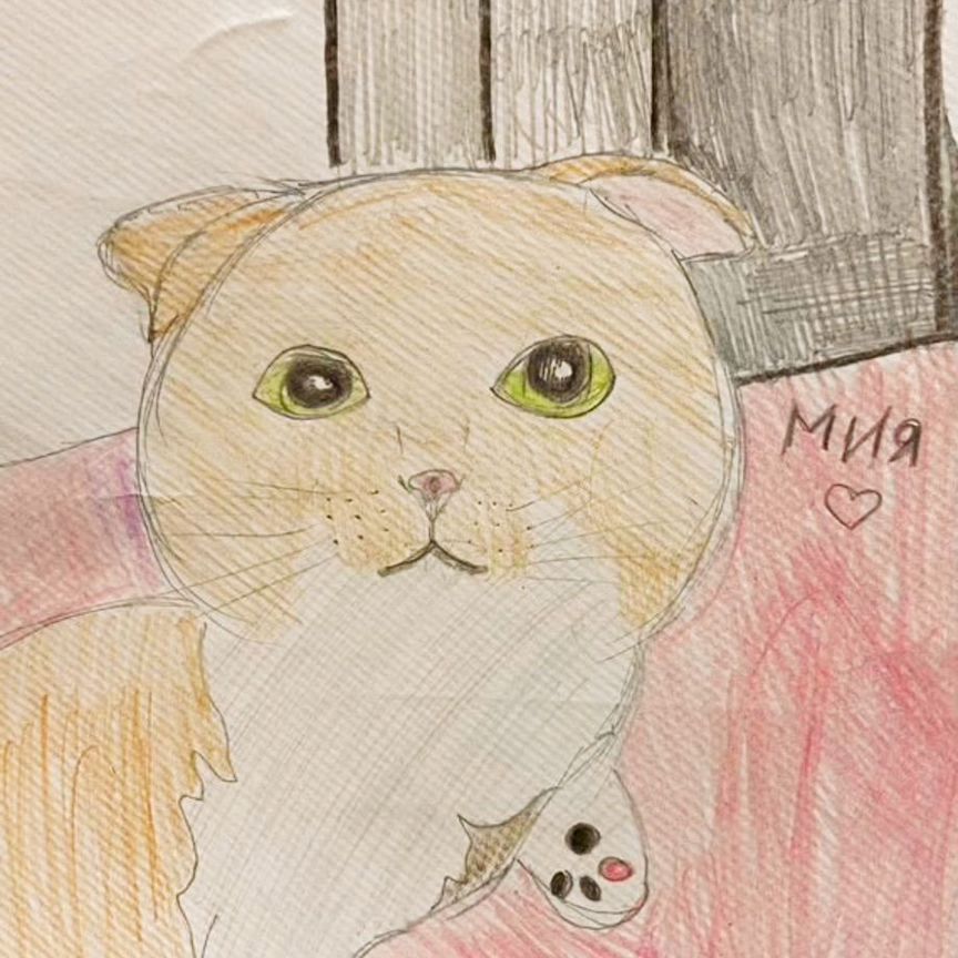 Рисую ваших питомцев