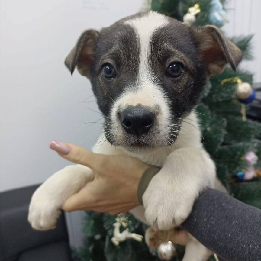 Малыши в беде. 2 мальчика ждут свою маму