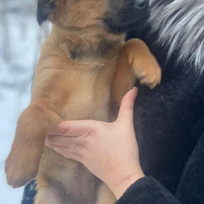 Эльза для счастья