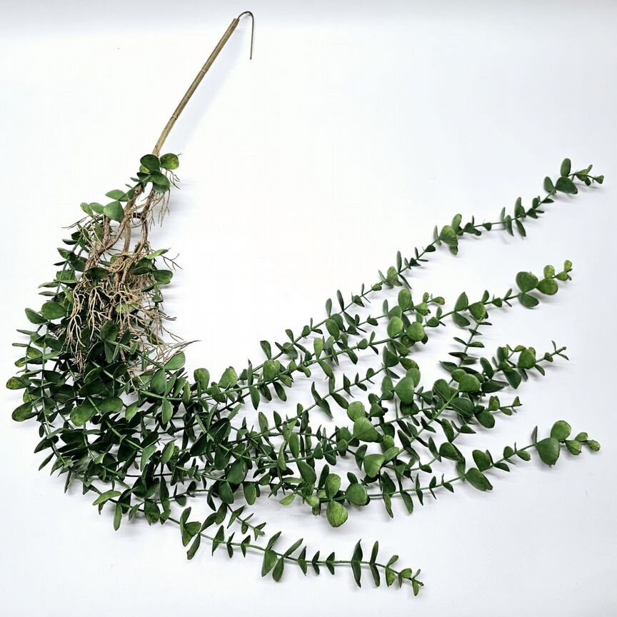 Растение для террариума пластиковое novamark terr