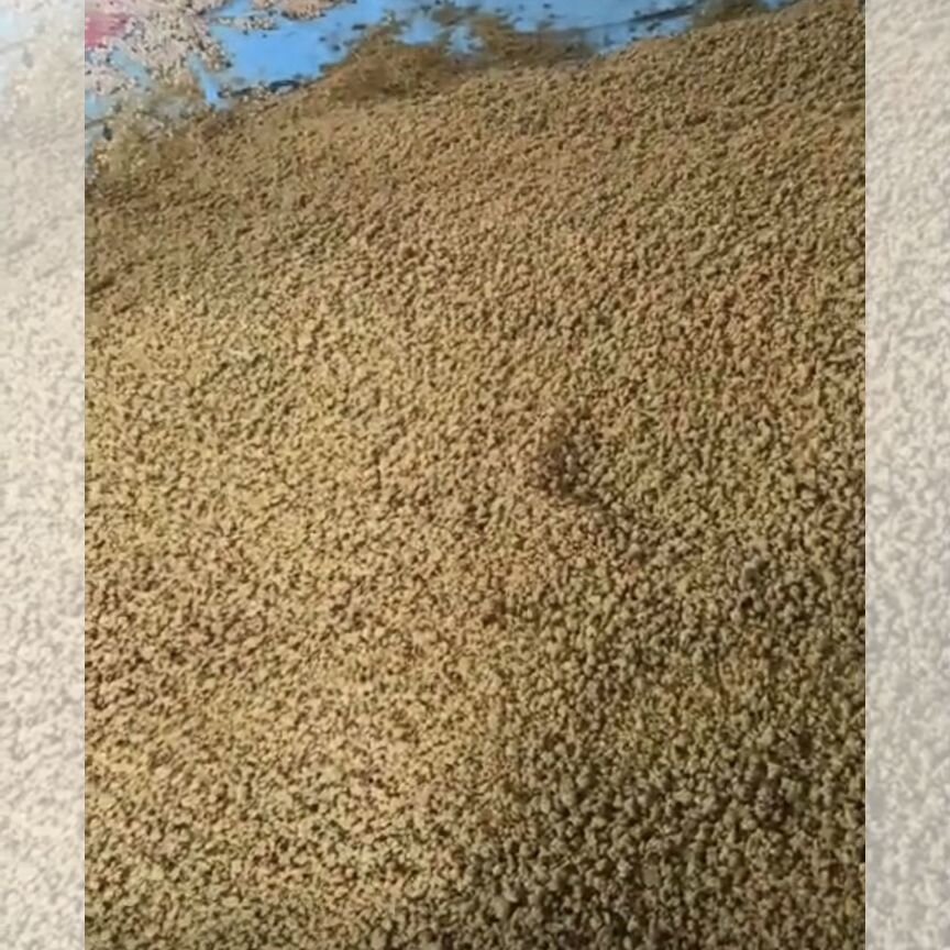 Соя полножирная