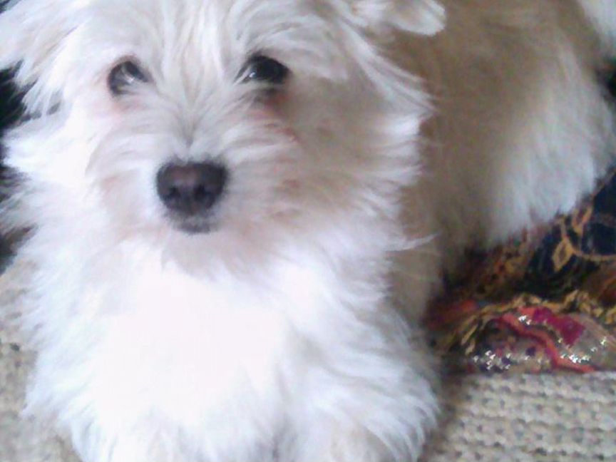 Приглашает на свидание