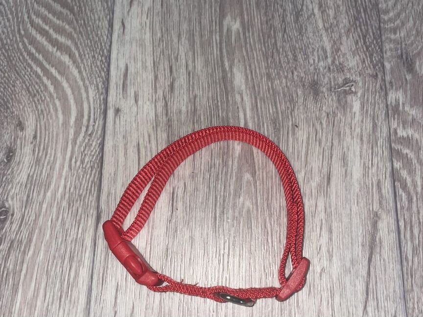 Амуниция для собак