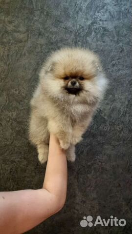 Очаровательный пупс