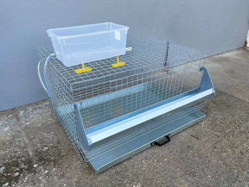 Клетка для домашней птицы на 20-25 голов не бу