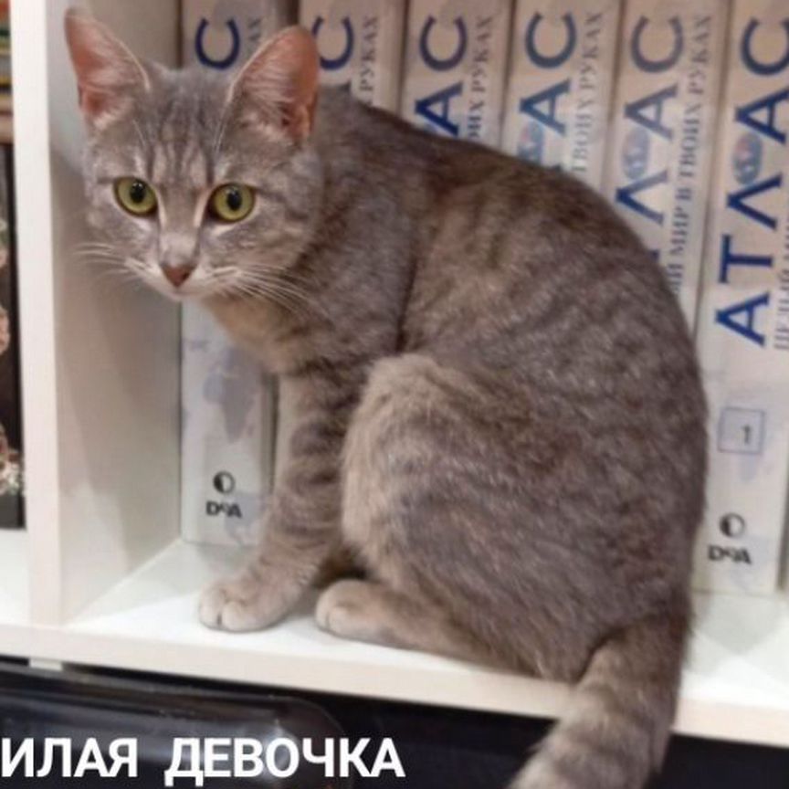 Девочка стерилизована