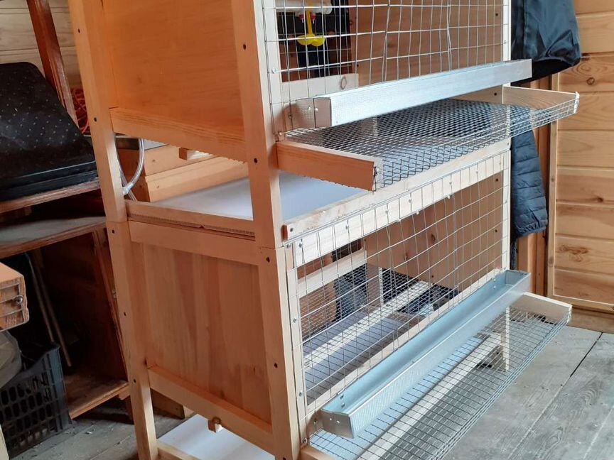 Клетки для кур несушек